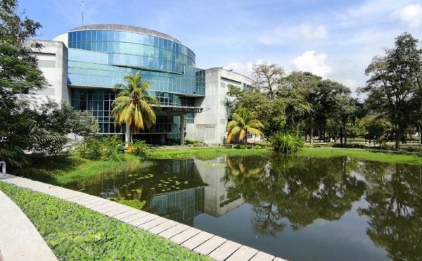 K-Youth Development Programme – Exzellent Profis Institute (EPI)